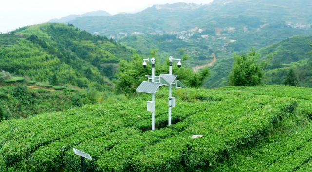 Jiangsu Three&Three Smart Tea Garden Solution Helps Ecological Tea ...
